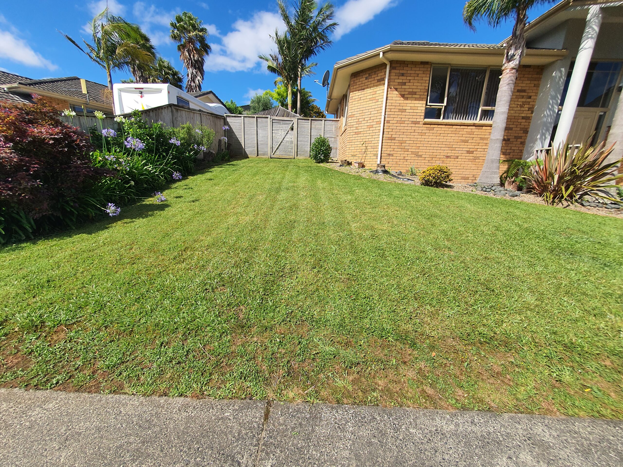 Free Quote Whangarei Lawn Mowing Services